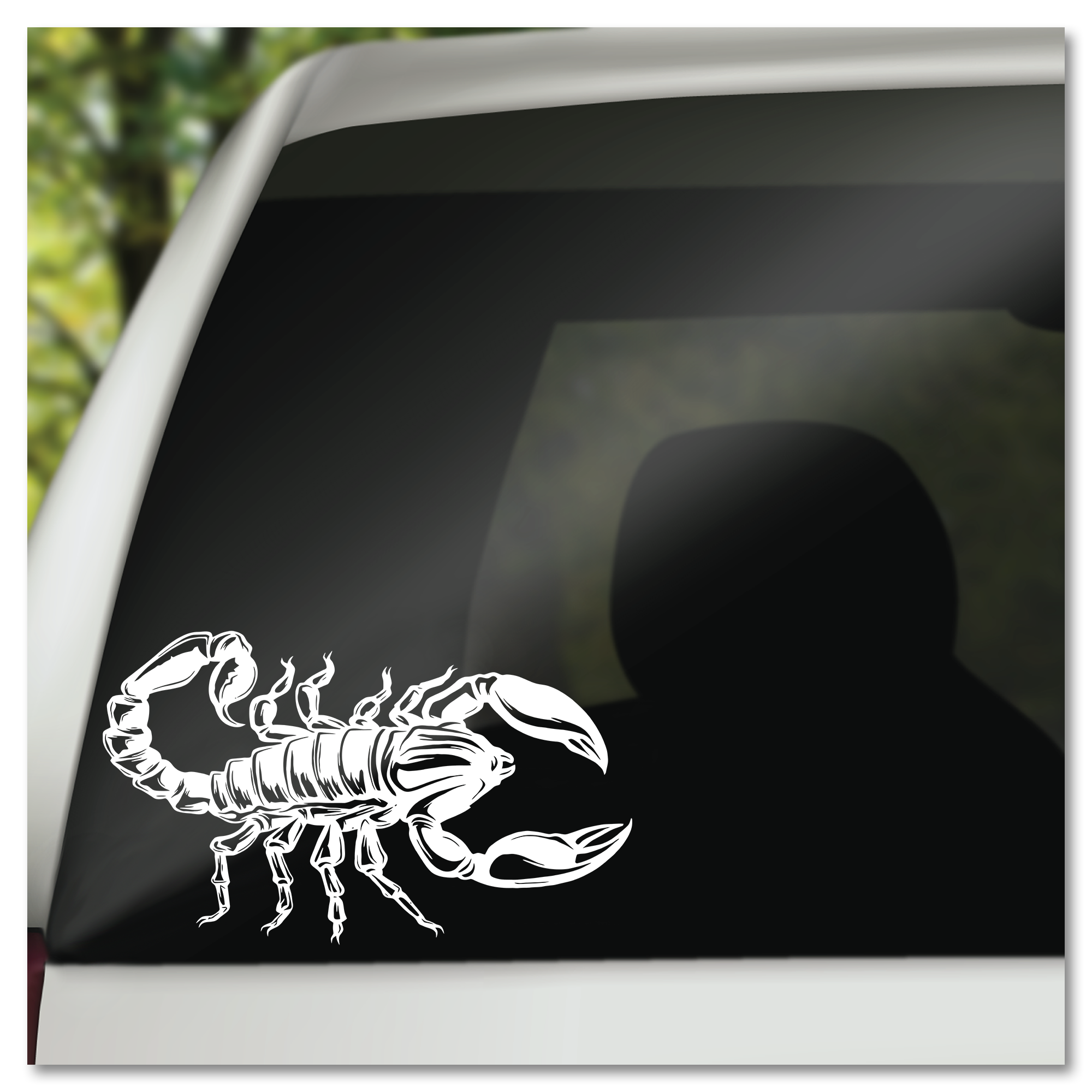 Scorpion Vinyl Decal Sticker – Pink Pineapple Works